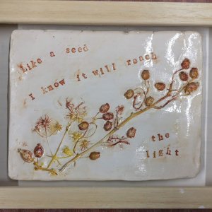 Workshop in a Tin - seatree